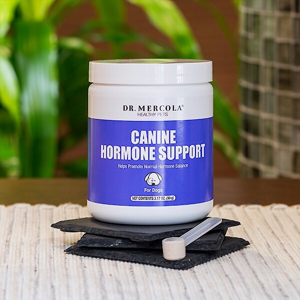 New Version Available - Dr. Mercola Canine Hormone Support Dog ...