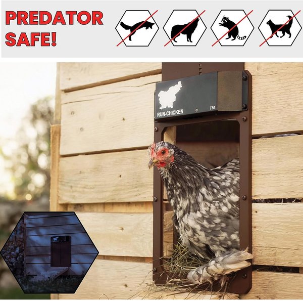 RUN CHICKEN T50 Automatic Chicken Coop Door with Timer, Brown - Chewy.com