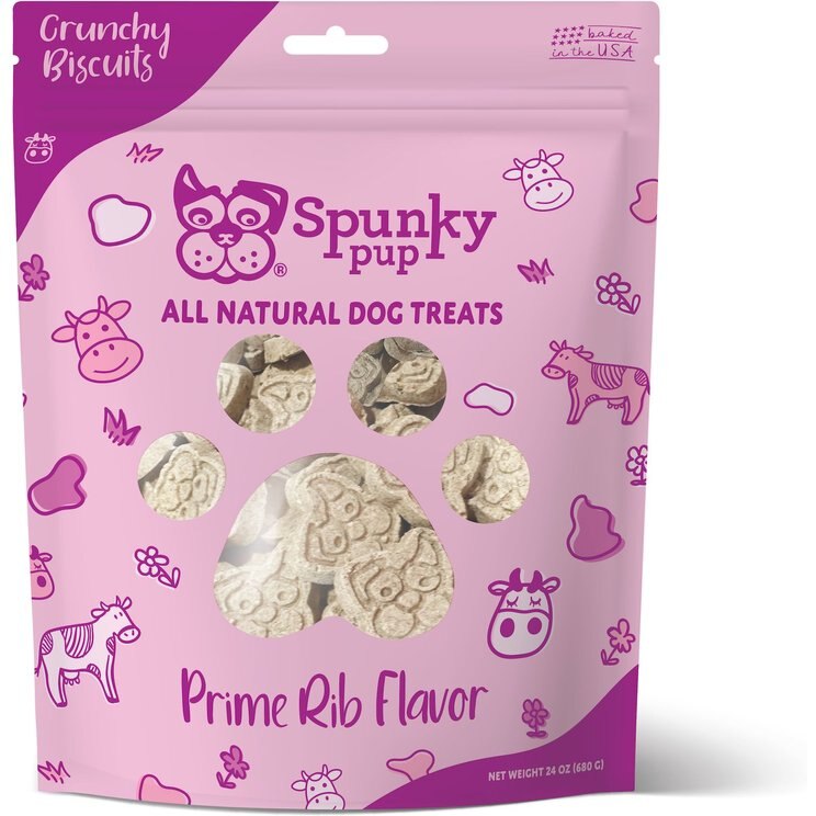Spunky Pup - Free shipping | Chewy