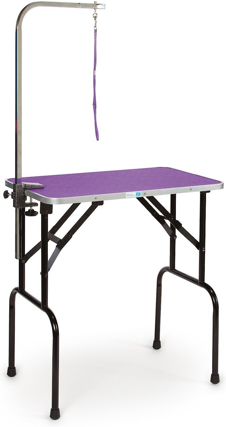 MASTER EQUIPMENT Dog Grooming Table with Arm, Purple, 30-inch - Chewy.com