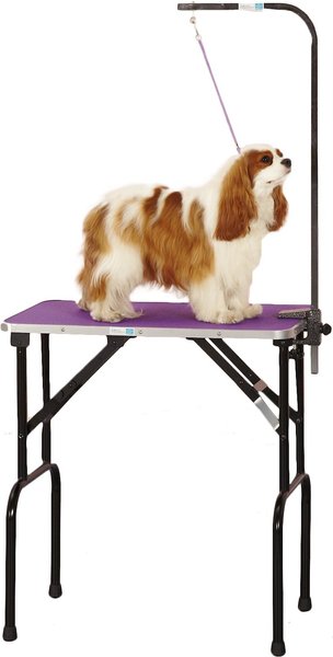 Discontinued - MASTER EQUIPMENT Dog Grooming Table with Arm, Purple, 30 ...