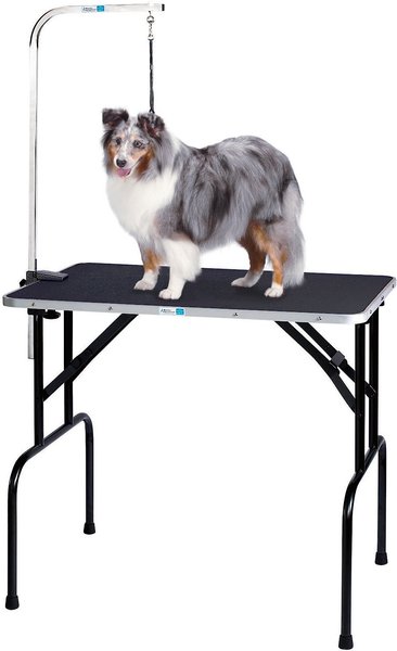MASTER EQUIPMENT Dog Grooming Table with Arm, Black, 36-inch - Chewy.com