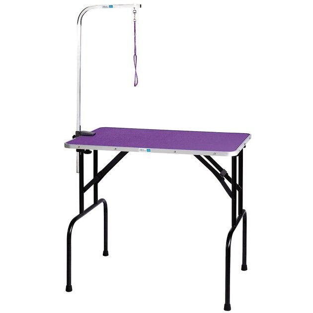 MASTER EQUIPMENT Dog Grooming Table with Arm, Purple, 36-inch - Chewy.com