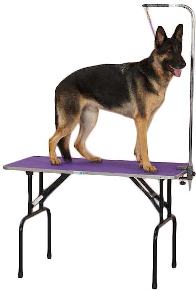 MASTER EQUIPMENT Dog Grooming Table with Arm, Purple, 48-inch - Chewy.com