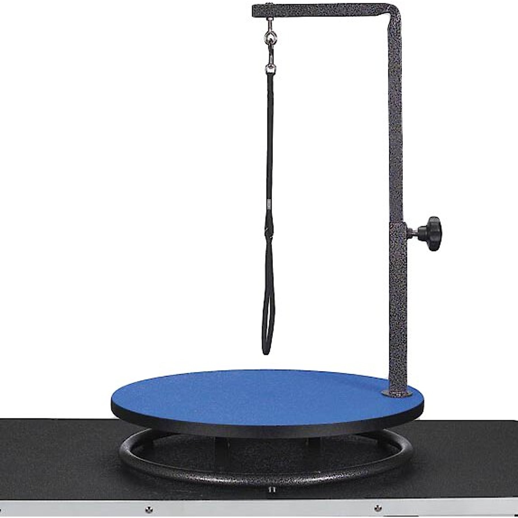 MASTER EQUIPMENT Small Dog & Cat Grooming Table, Blue - Chewy.com