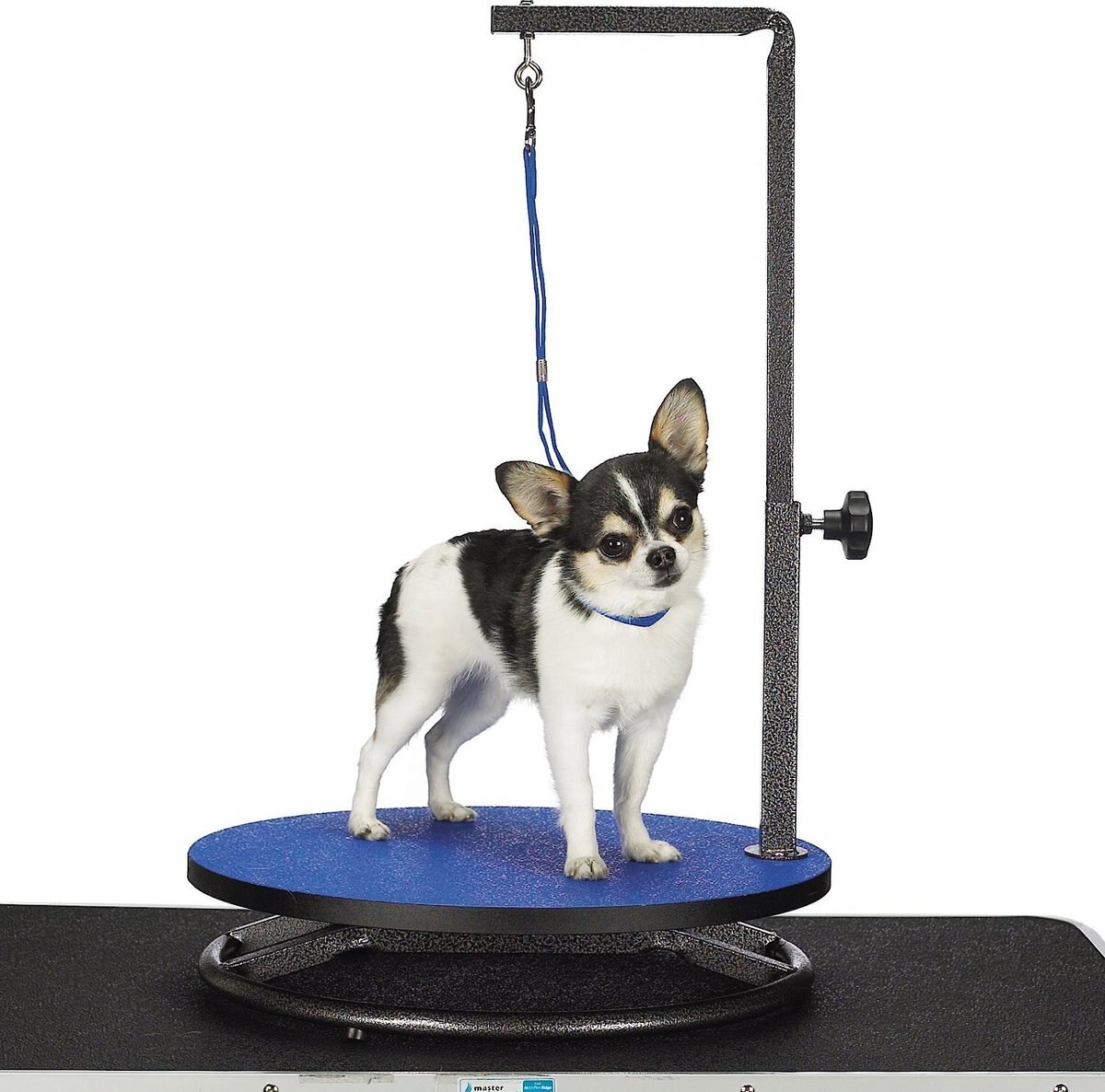 Discontinued - MASTER EQUIPMENT Small Dog & Cat Grooming Table, Blue ...