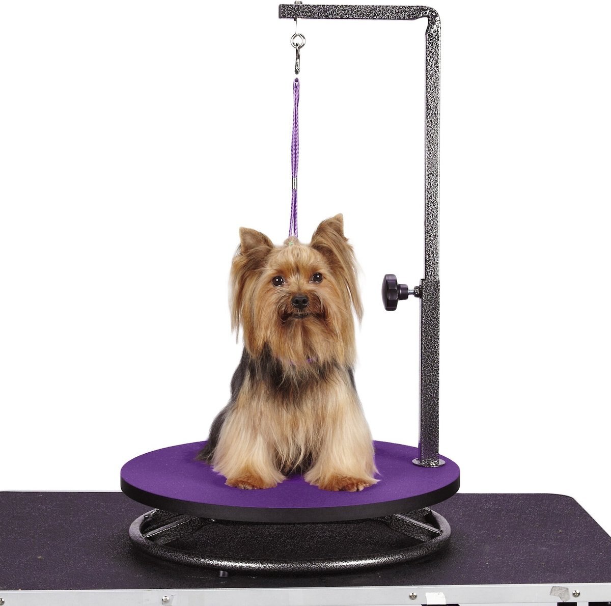 MASTER EQUIPMENT Small Dog & Cat Grooming Table, Purple - Chewy.com