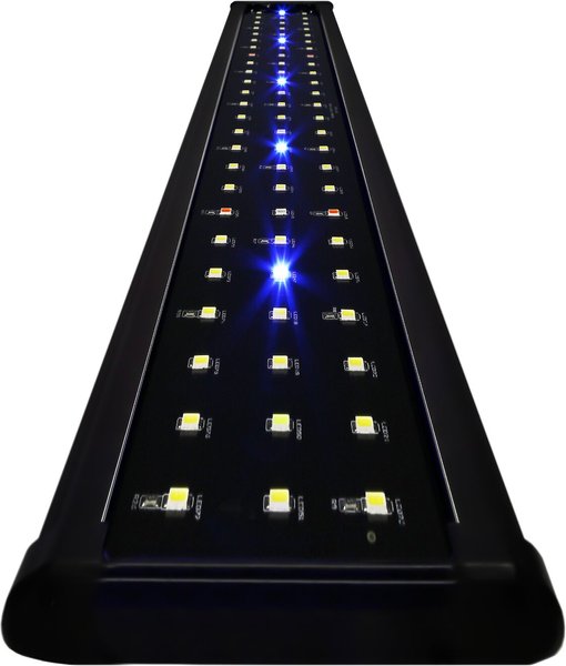 KOVAL LED Aquarium Light, 24 - 30 in, 78 LED - Chewy.com
