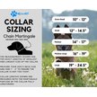 MAX AND NEO DOG GEAR Nylon Reflective Martingale Dog Collar with Chain ...