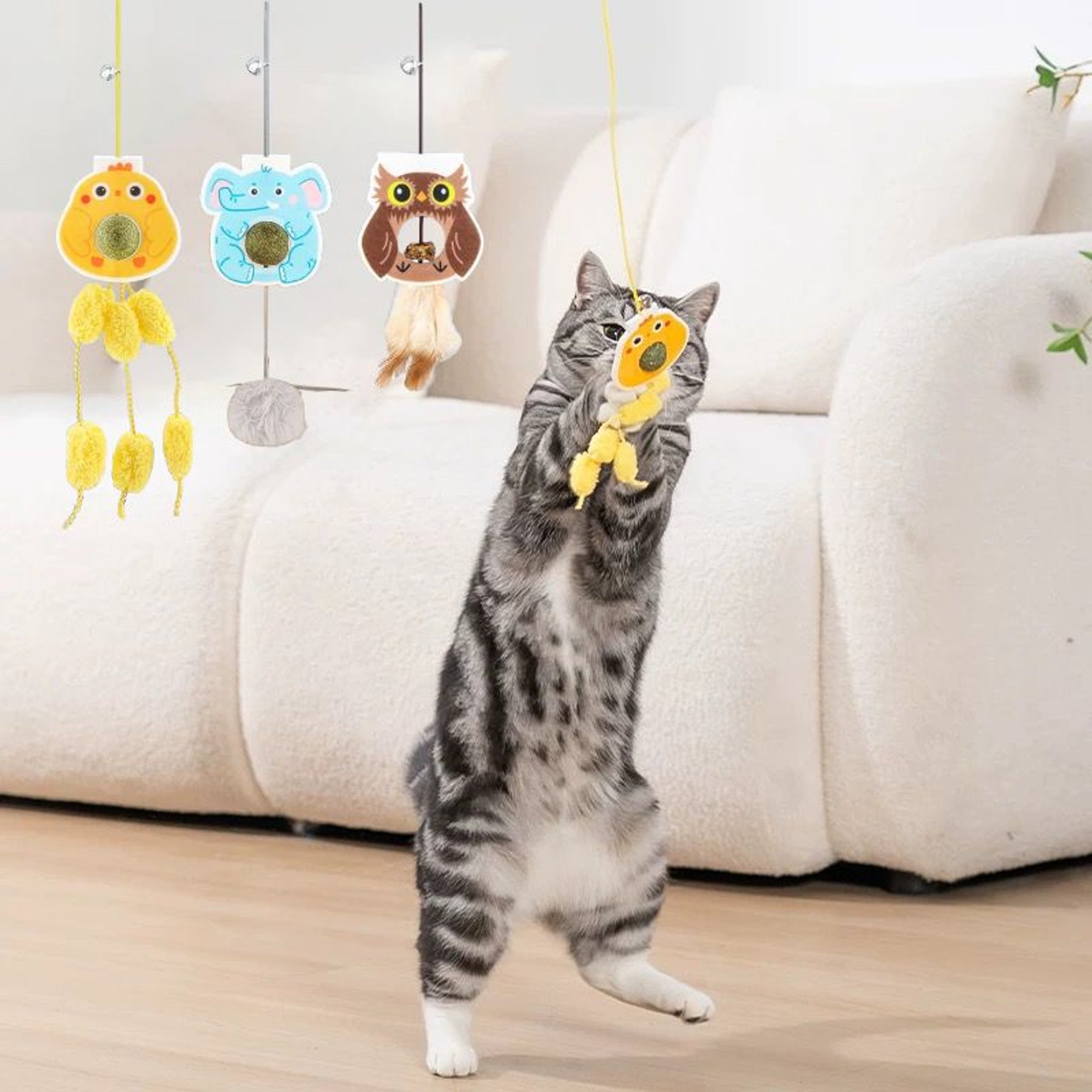 LOVELY CAVES Self Play Door Hanging Bouncing & Gall Fruit Chasers Cat ...