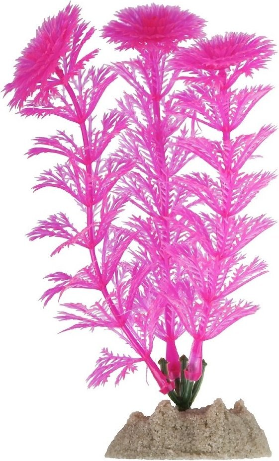 GLOFISH Aquarium Plant, Pink, Small - Chewy.com