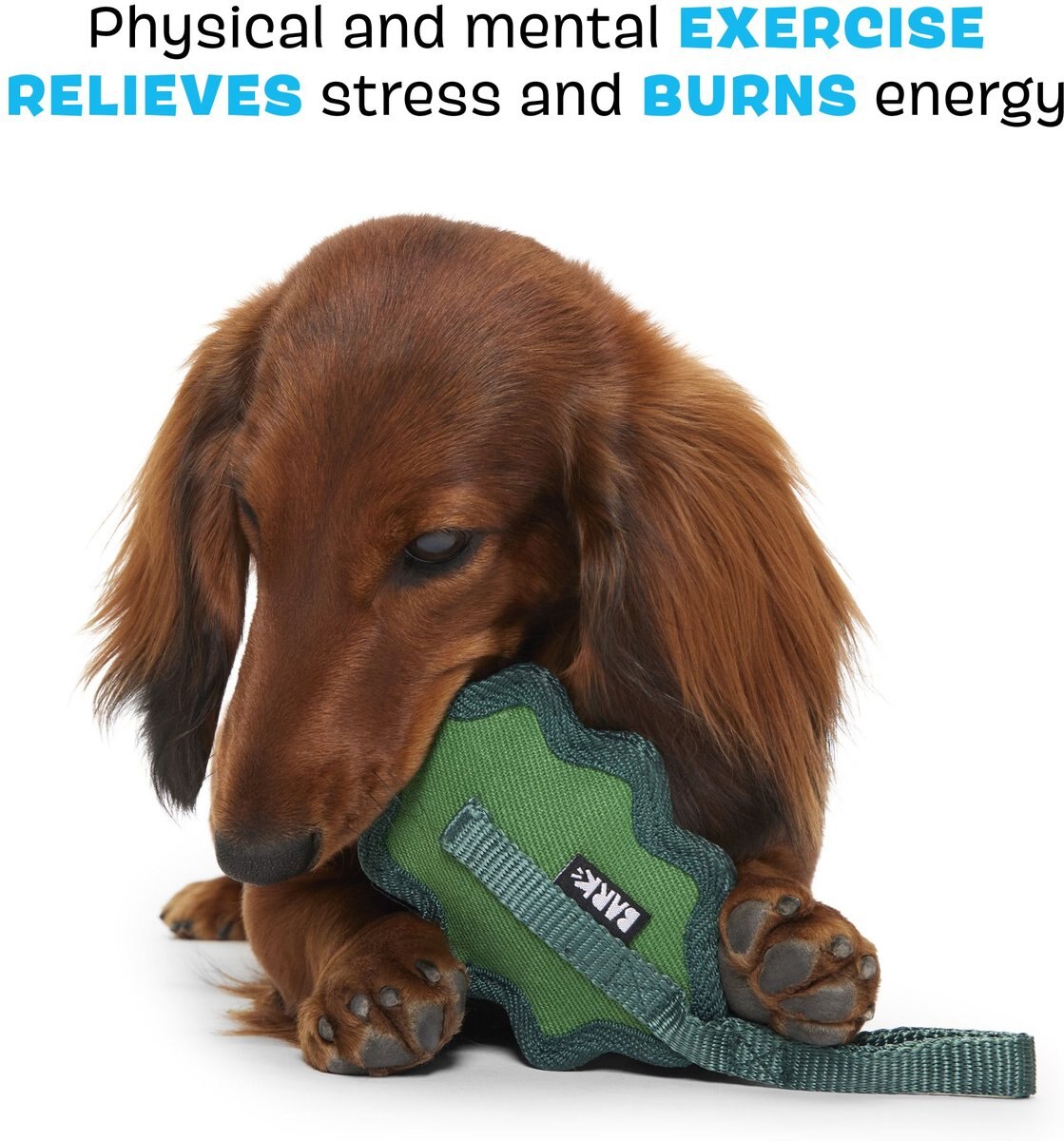 BARK A Green Chew Leaf Tough Chew Dog Tug Toy, Green, Small - Chewy.com