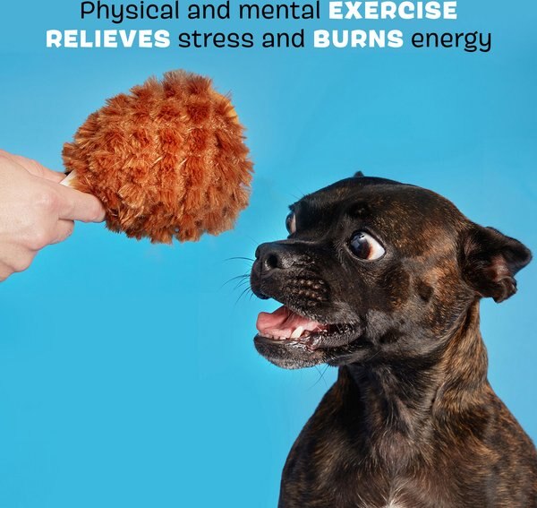 BARK Tavern Turkey Leg Squeaky Plush Dog Toy, Brown - Chewy.com