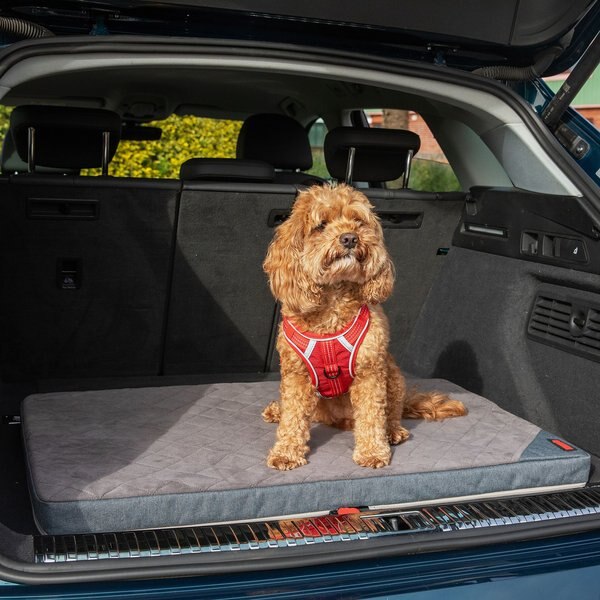 KONG Fold-Up Dog Travel Mat, Grey - Chewy.com