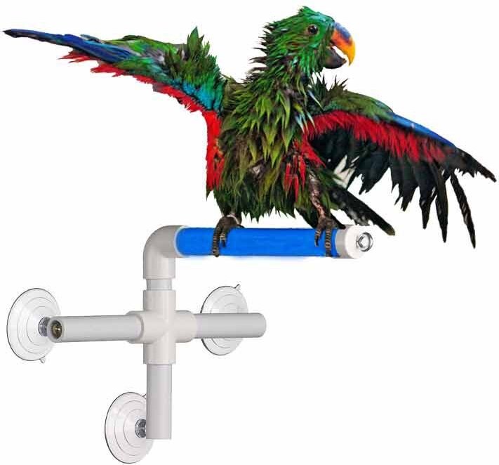 SUPER BIRD CREATIONS Fold Away Shower Window Bird Perch, Medium/Large ...