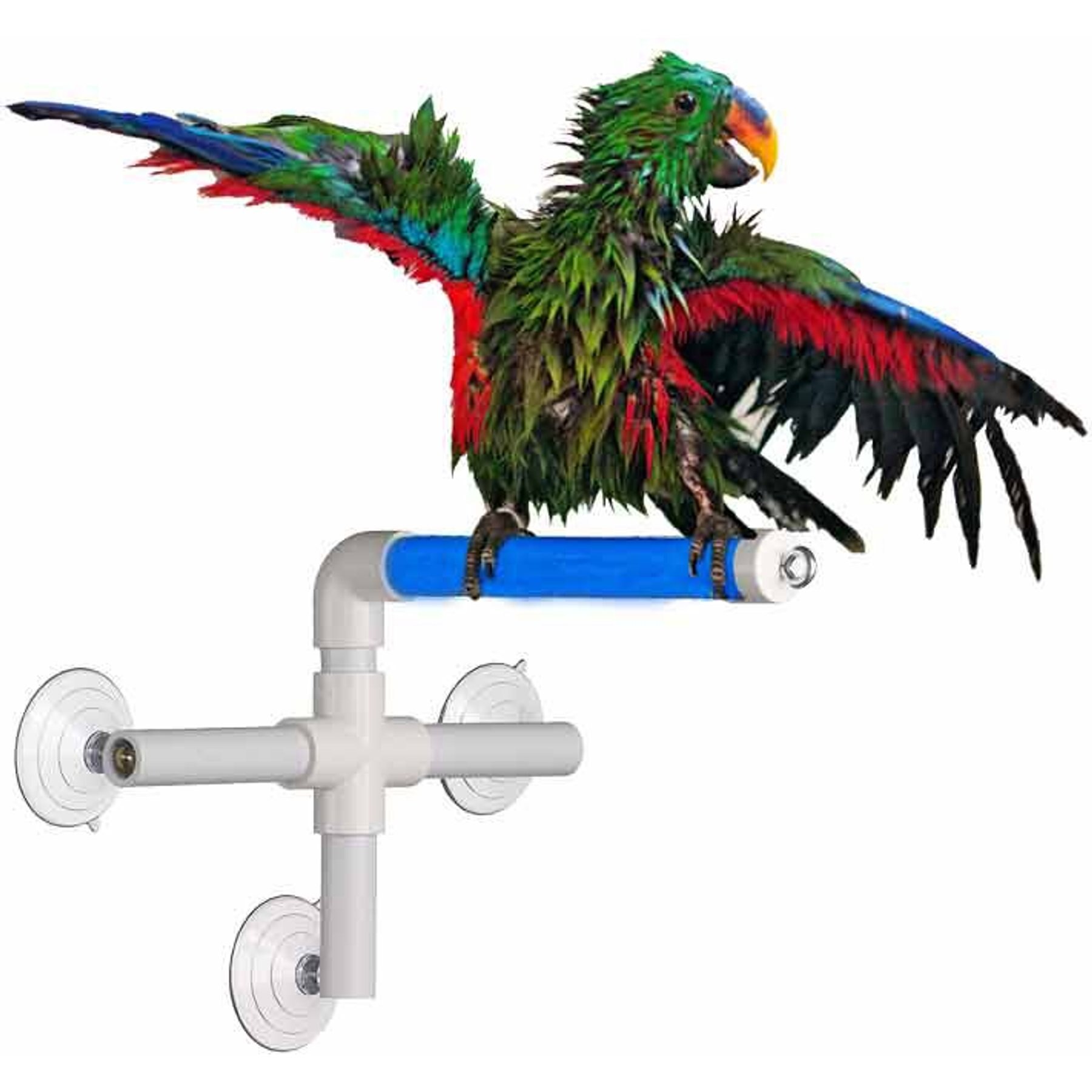 SUPER BIRD CREATIONS Fold Away Shower Window Bird Perch, Medium/Large ...