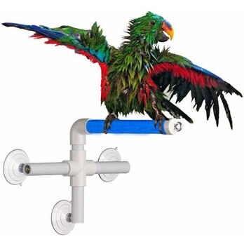 Large Parrot Perch (Free Shipping) | Chewy