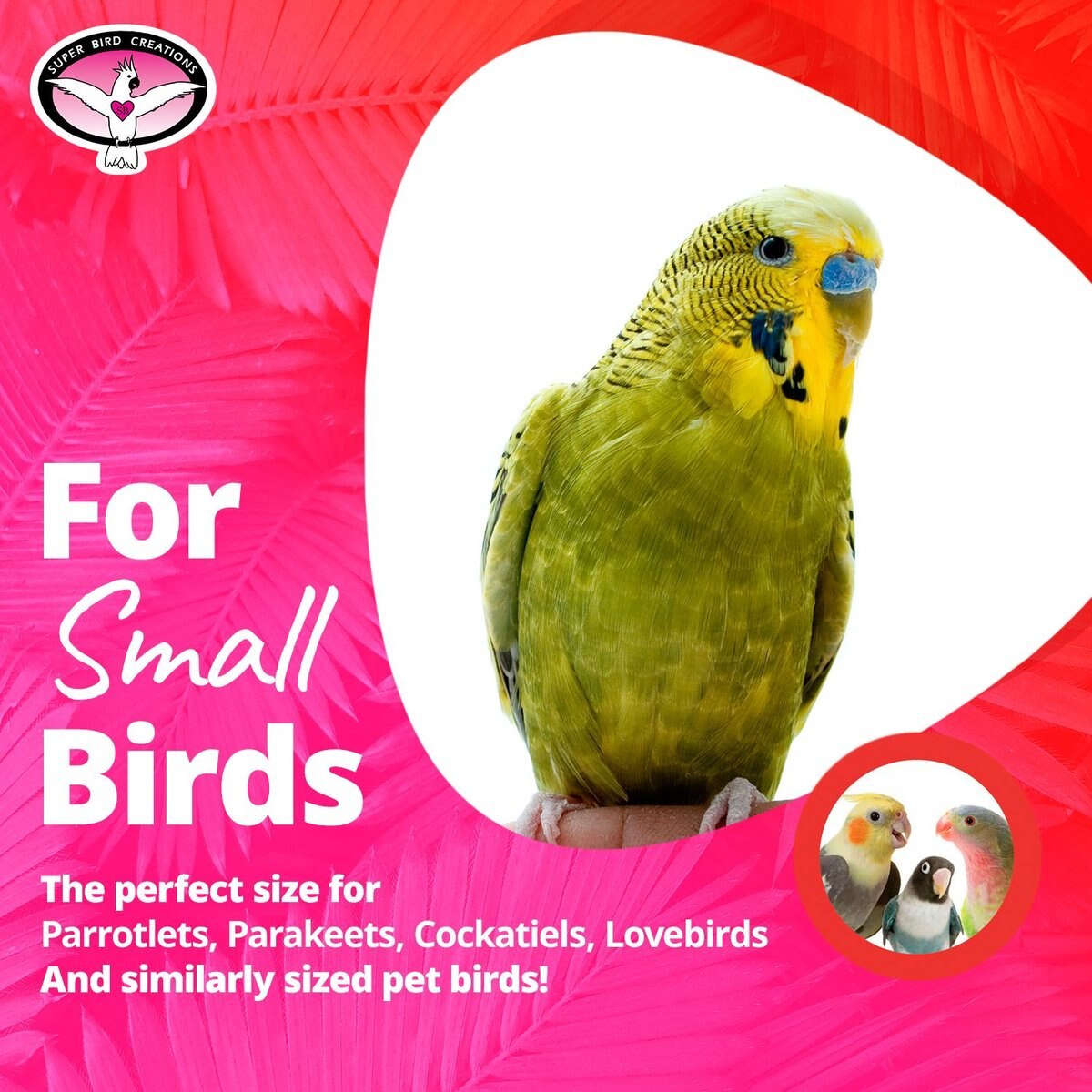 SUPER BIRD CREATIONS Peekaboo Perch Bird Tent, Color Varies, Small ...