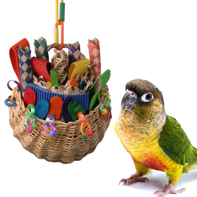 SUPER BIRD CREATIONS Foraging Basket Bird Toy, Medium - Chewy.com