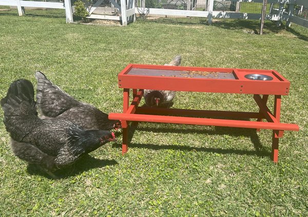 ZYLINA "Chick-nic" Picnic Table Chicken Feeder, Large, Red - Chewy.com