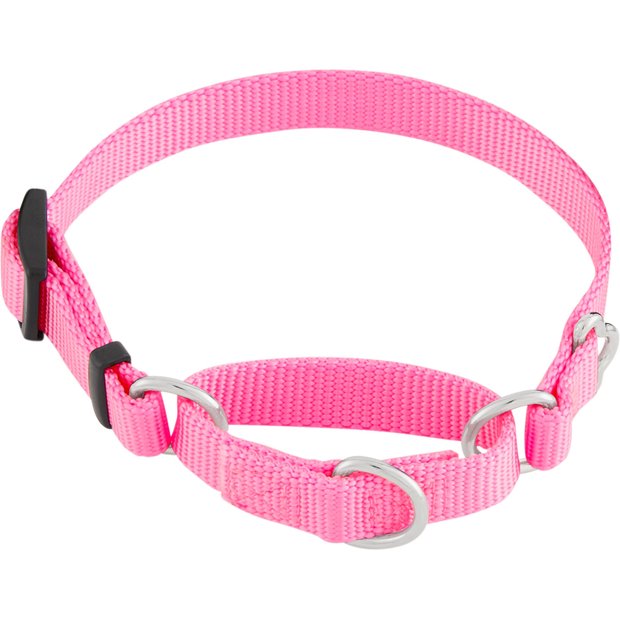 XS MARTINGALE DOG COLLARS (Free Shipping) | Chewy