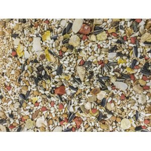 10 Best Conure Foods 2025: According to Reviews | Chewy