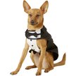 FRISCO Formal Dog & Cat Tuxedo, Black, Small - Chewy.com