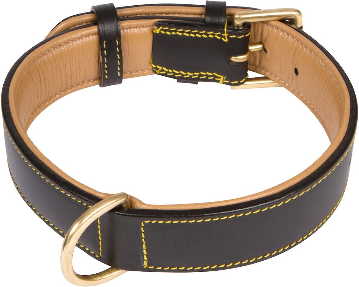 SOFT TOUCH COLLARS Leather Two-Tone Padded Dog Collar, Black, Small ...