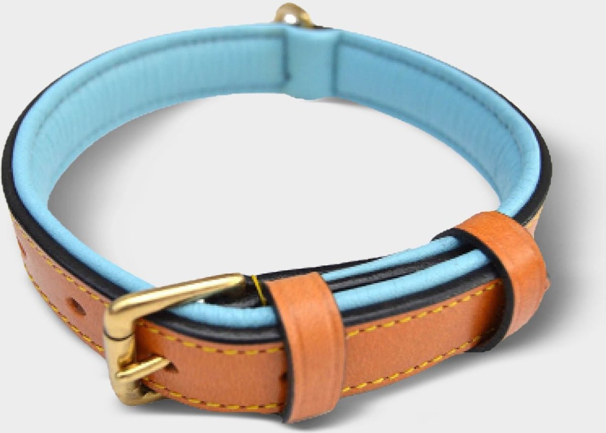 SOFT TOUCH COLLARS Leather Two-Tone Padded Dog Collar, Tan Teal, Small ...