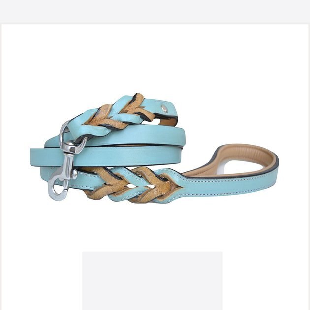 SOFT TOUCH COLLARS Leather Braided Two-Tone Dog Leash, Turquoise Beige ...