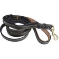 Double Handle Dog Leashes (Free Shipping) | Chewy