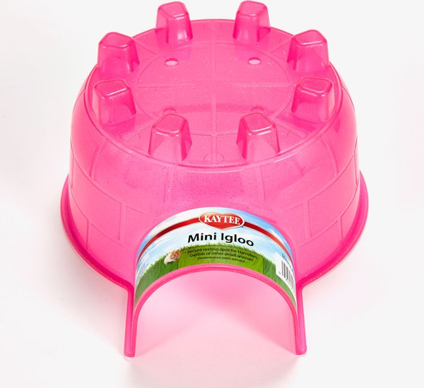 KAYTEE Small Animal Igloo Hideout, Color Varies Mini - Chewy.com