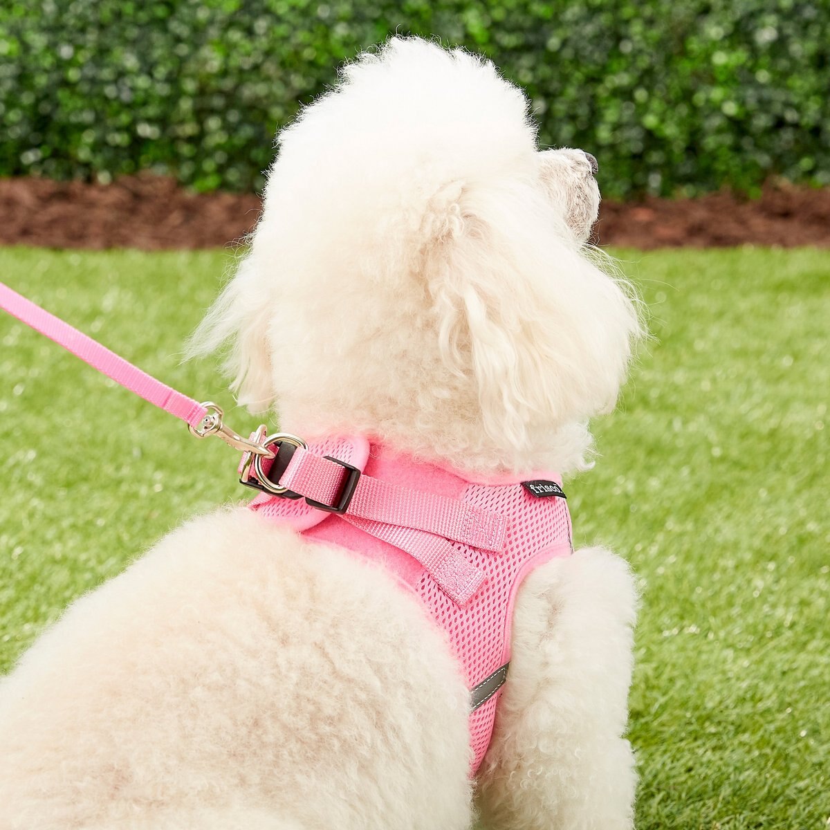 FRISCO Small Breed Soft Vest Step In Back Clip Dog Harness, Pink, 18 to ...