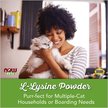 NOW PETS L-Lysine Immune System Support Cat Supplement, 8-oz jar ...