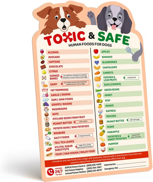 EMMY'S BEST PET PRODUCTS New Puppy Essentials Toxic vs Safe Dog Food ...