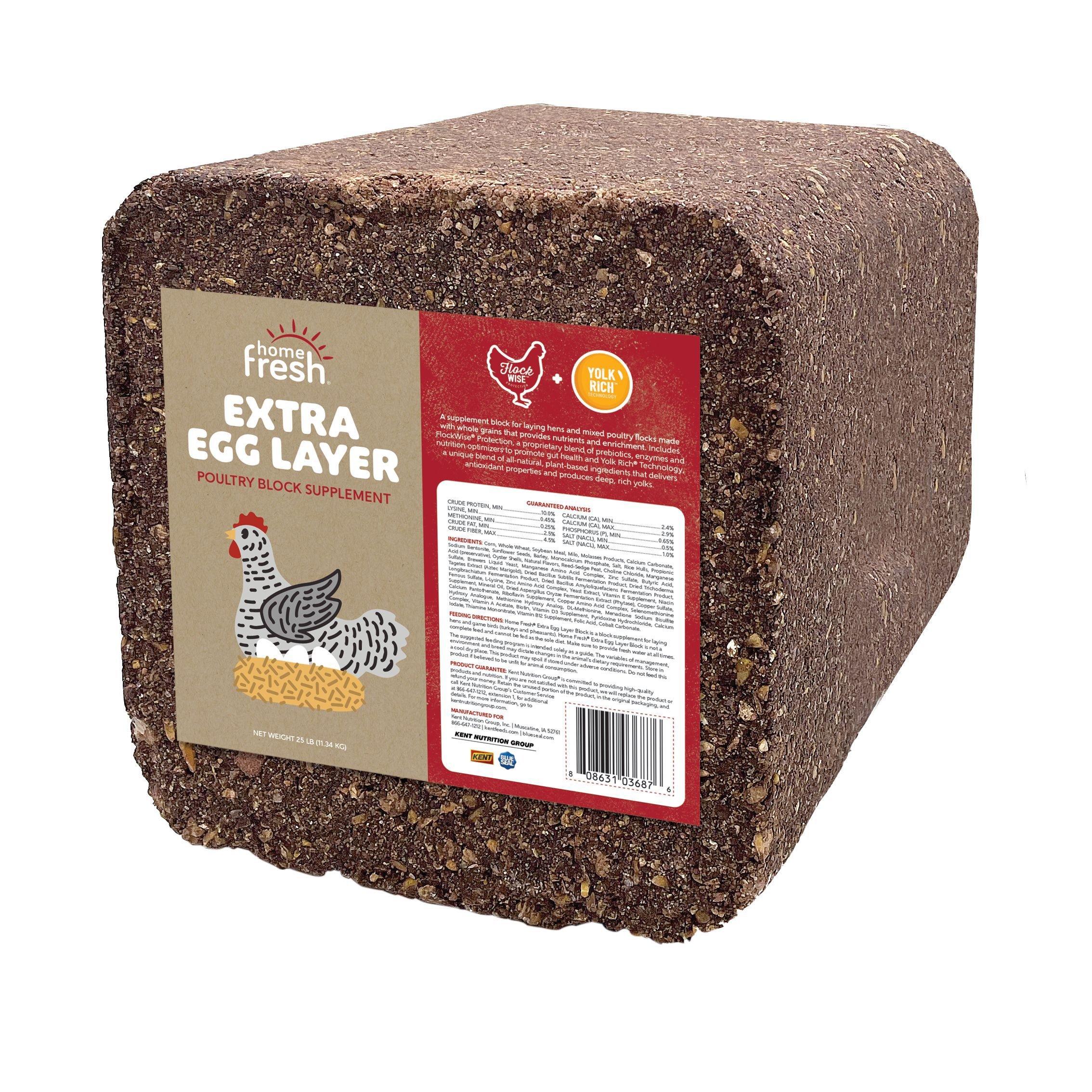 KENT / BLUE SEAL Home Fresh Extra Egg Layer Block Chicken Feed, 25-lb ...