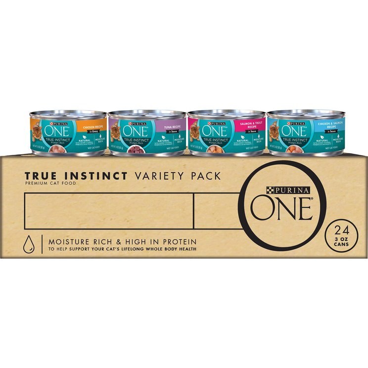 PURINA ONE WET CAT FOOD (Free Shipping) | Chewy