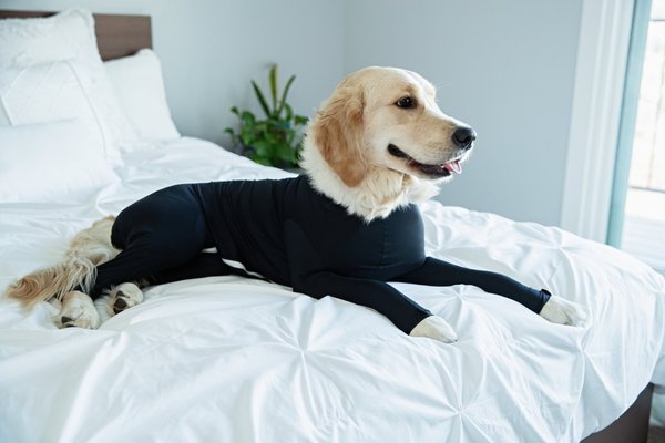 SHED DEFENDER Original Dog Onesie, Black, Medium - Chewy.com