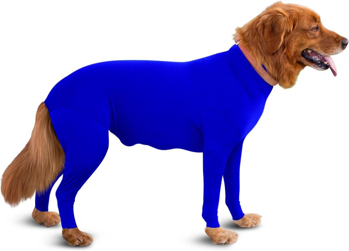 SHED DEFENDER Original Dog Onesie, Royal Blue, Medium - Chewy.com