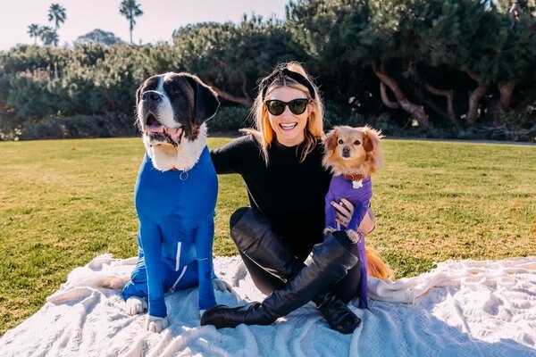 SHED DEFENDER Original Dog Onesie, Royal Blue, X-Large - Chewy.com