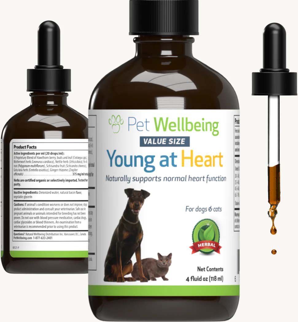 PET WELLBEING Young at Heart Bacon Flavored Liquid Heart Supplement for ...