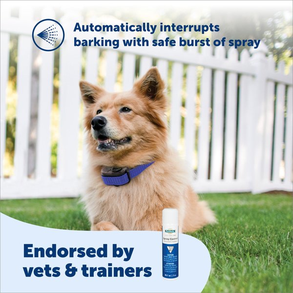PETSAFE Spray Control Refill, Unscented, 3-oz - Chewy.com