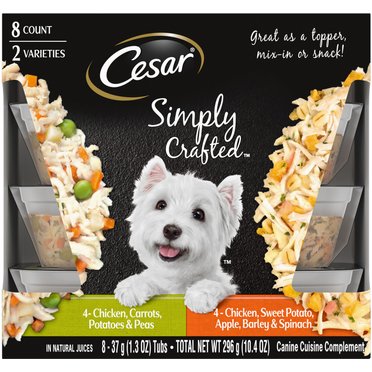 CESAR WET DOG FOOD (Free Shipping) | Chewy