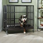 PROSELECT Empire Single Door Steel Dog Crate, 41.25-in - Chewy.com