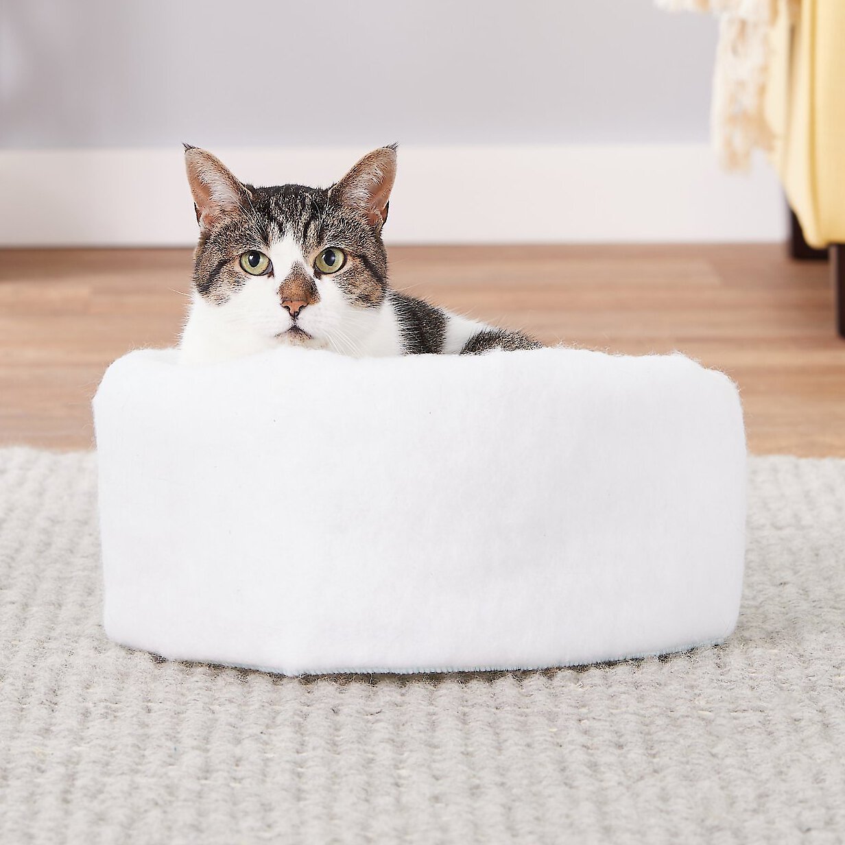 K.T. MANUFACTURING Kuddle Kup Cat Bed, White - Chewy.com
