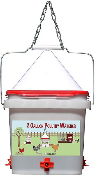 Discontinued - RENTACOOP Square 4-Port Chicken Waterer with No-Roost ...