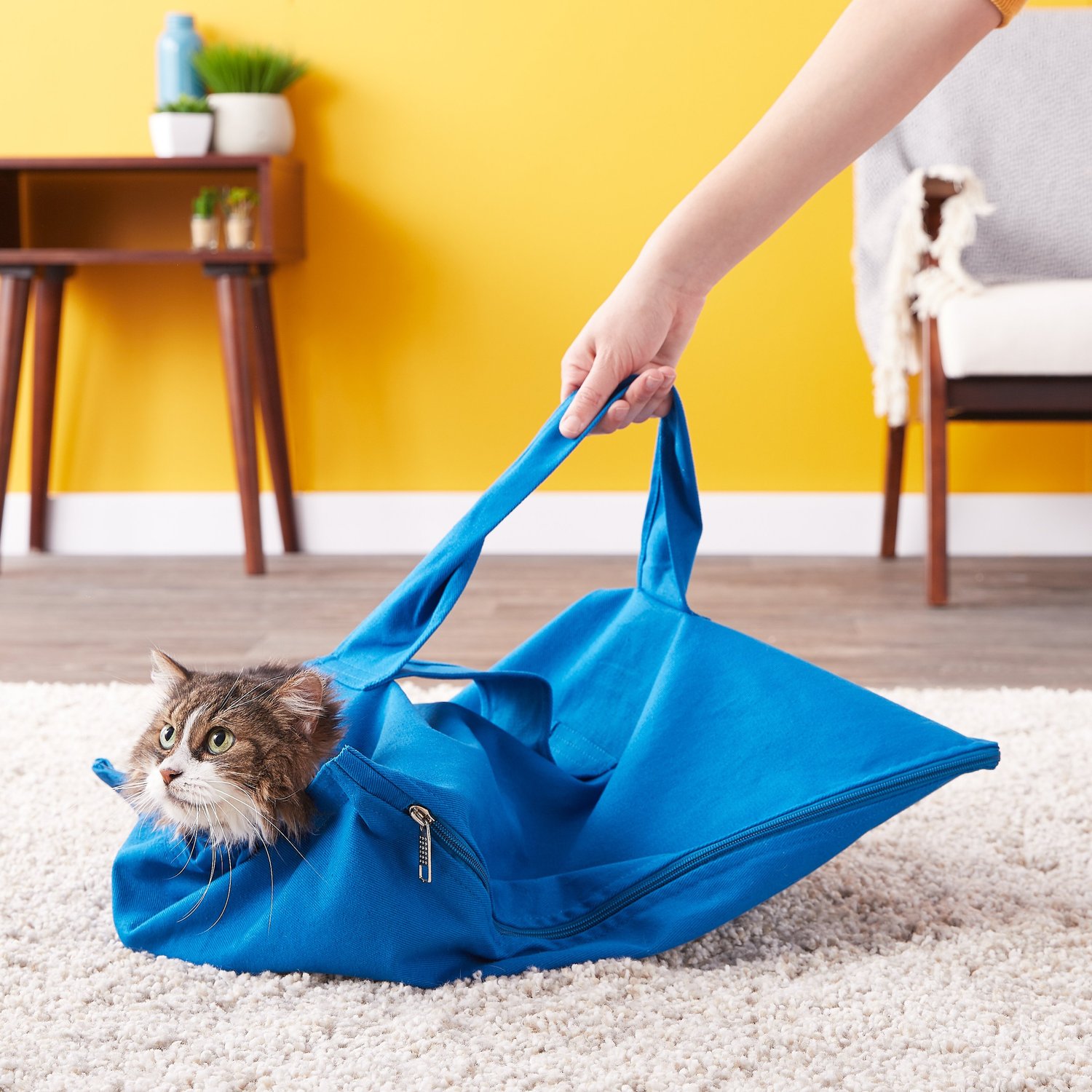 CAT-IN-THE-BAG E-Z-Zip Cat Carrier Bag, Cobalt, Large - Chewy.com