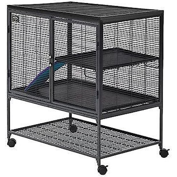 Rat Cages | Cages & Enclosures Tailored to Pet Rats - Chewy