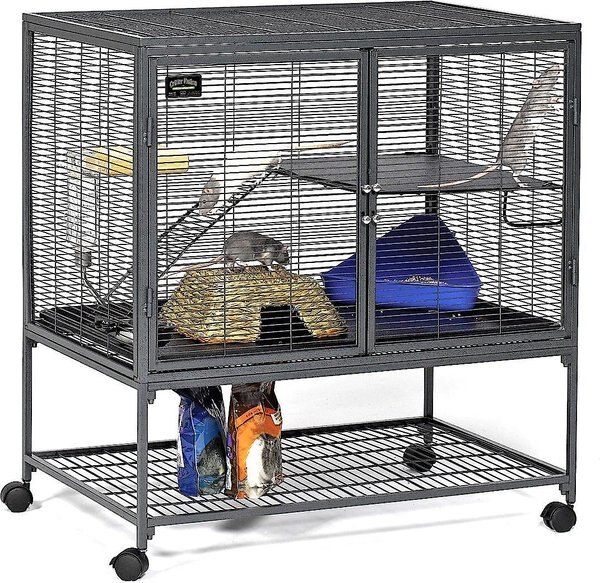 MIDWEST Critter Nation Deluxe Small Animal Cage, Single Story - Chewy.com