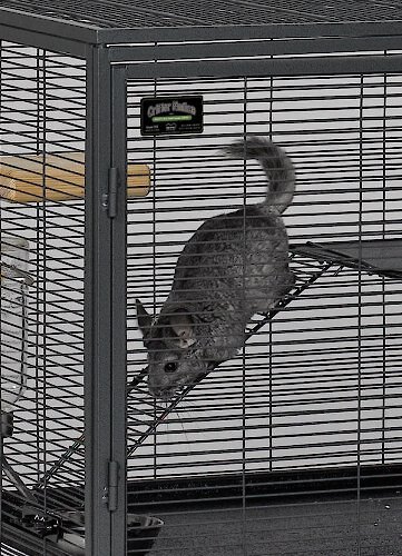 Out of Stock - MIDWEST Critter Nation Deluxe Small Animal Cage, Double ...